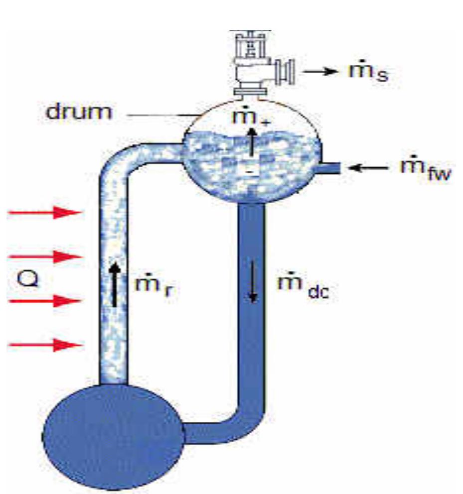 Schematic diagram of the boiler natural circulation loop