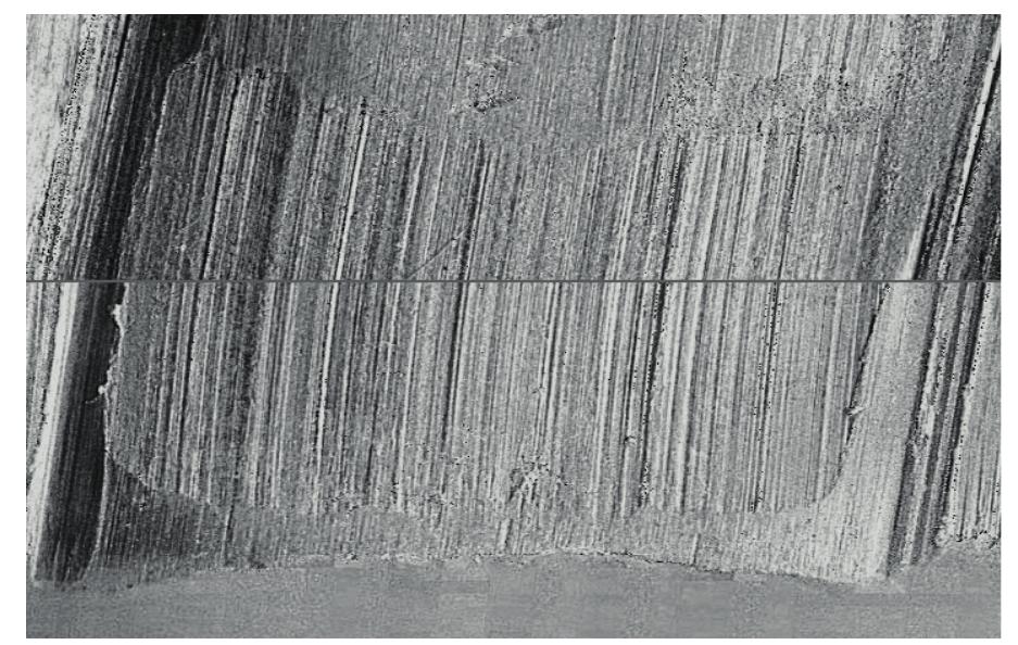 Figure 7 - FORENSIC BALLISTIC AND EXPERT INTELLIGENCE: