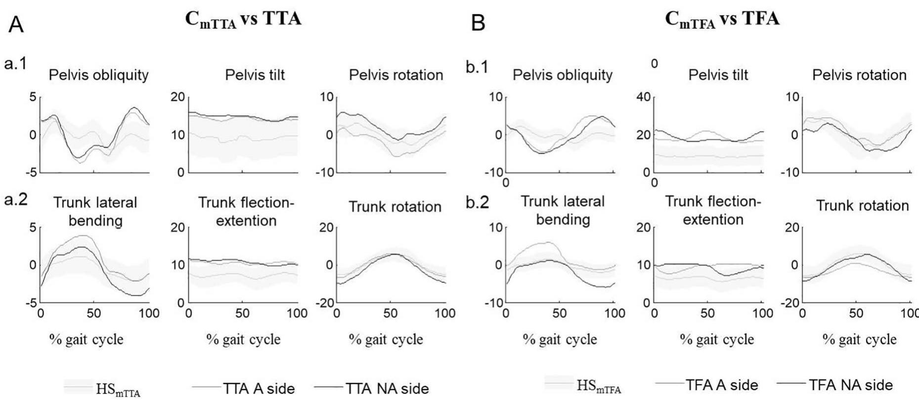 Pelvic obliquity, pelvic tilt, pelvic rotation, trunk