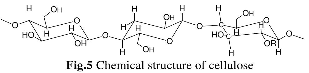 Figure 3 - An overview of bio-based polymers for packaging