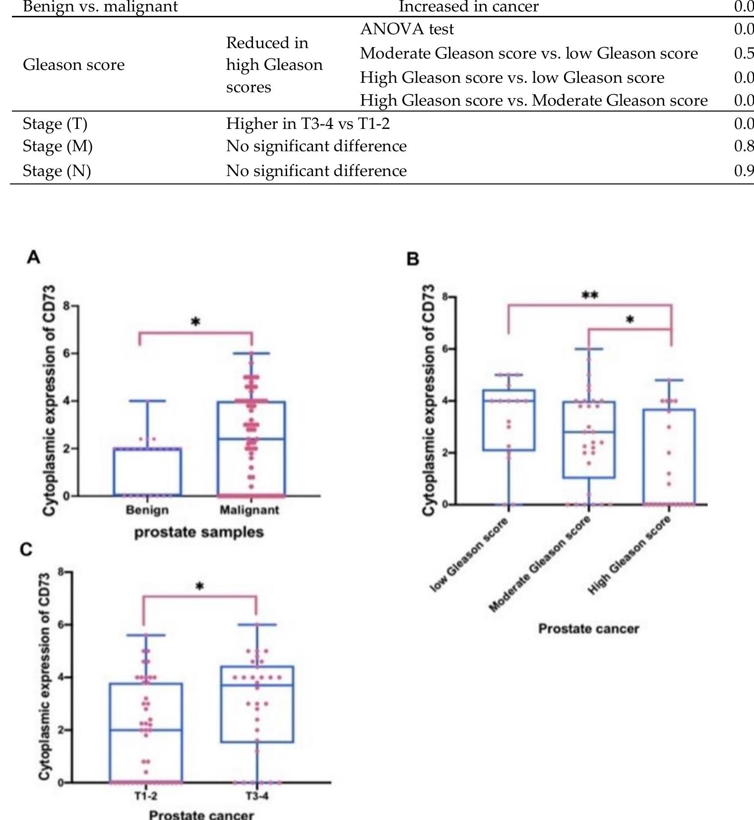 Cytoplasmic cd73 staining in benign and malignant prostate
