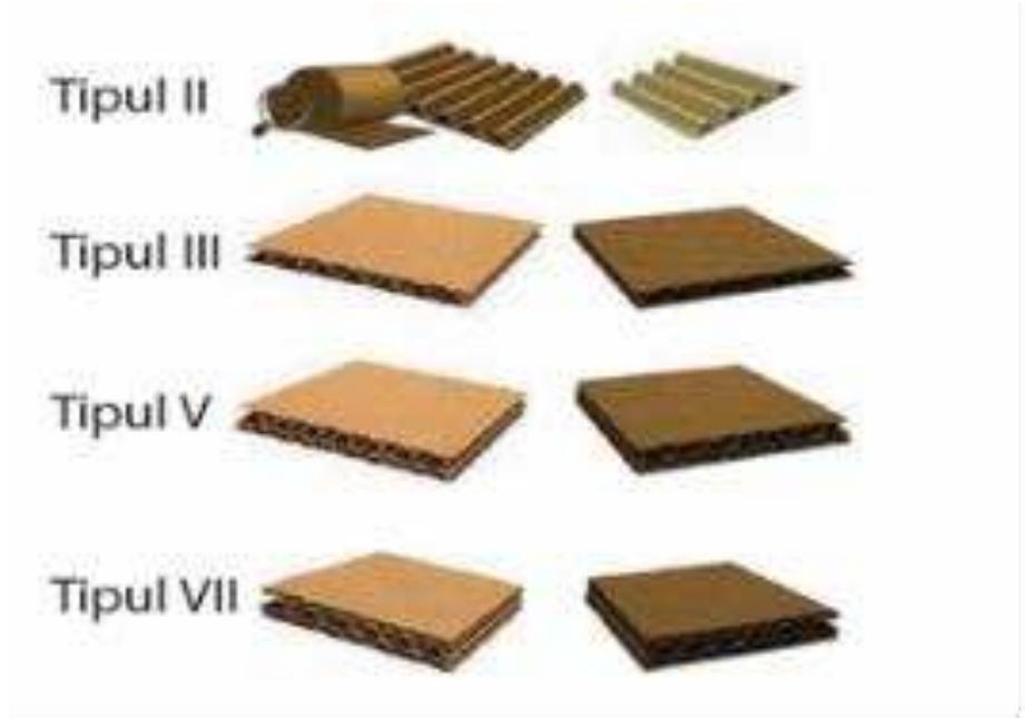 Types of cardboard [5].