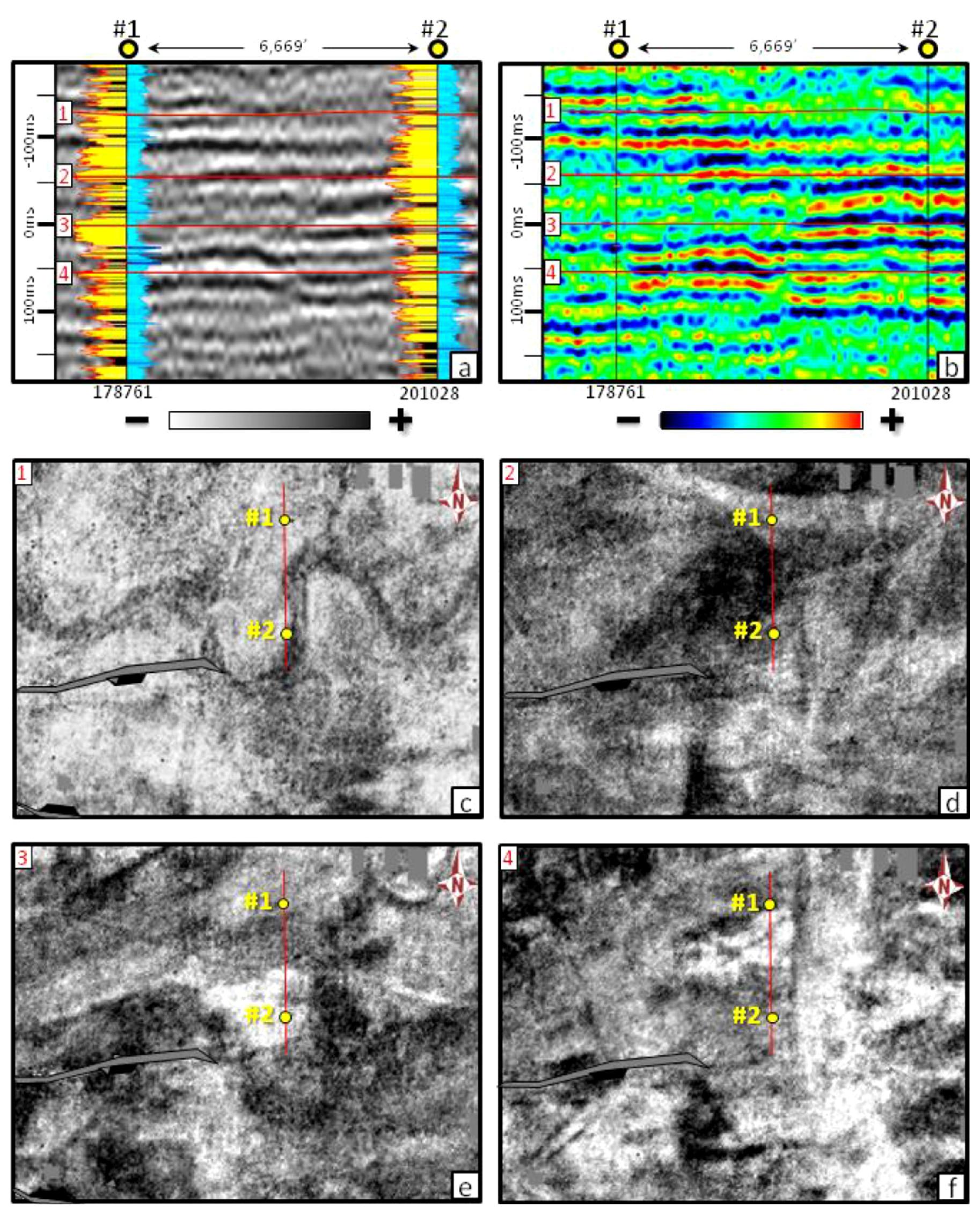 Panel (a) depicts the standard seismic vertical section