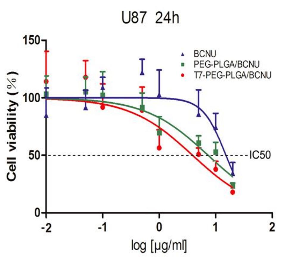 In vitro cell viability analysis. viability of u87 cells
