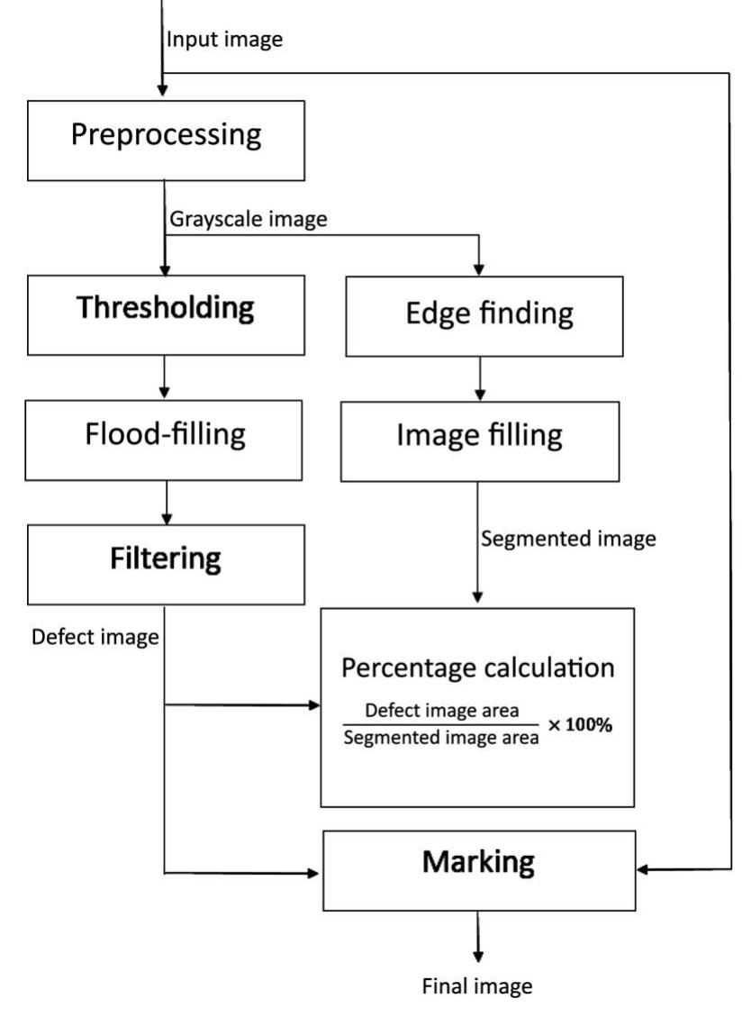 Flow diagram of the image processing and analysis.
