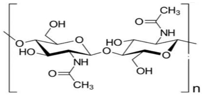 Chemical structure of chitin extraction from crab shells
