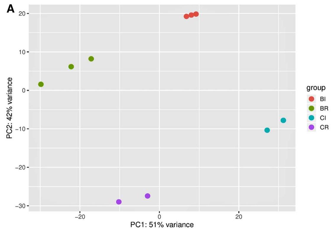 Principal component analysis (pca) and heatmap of gene