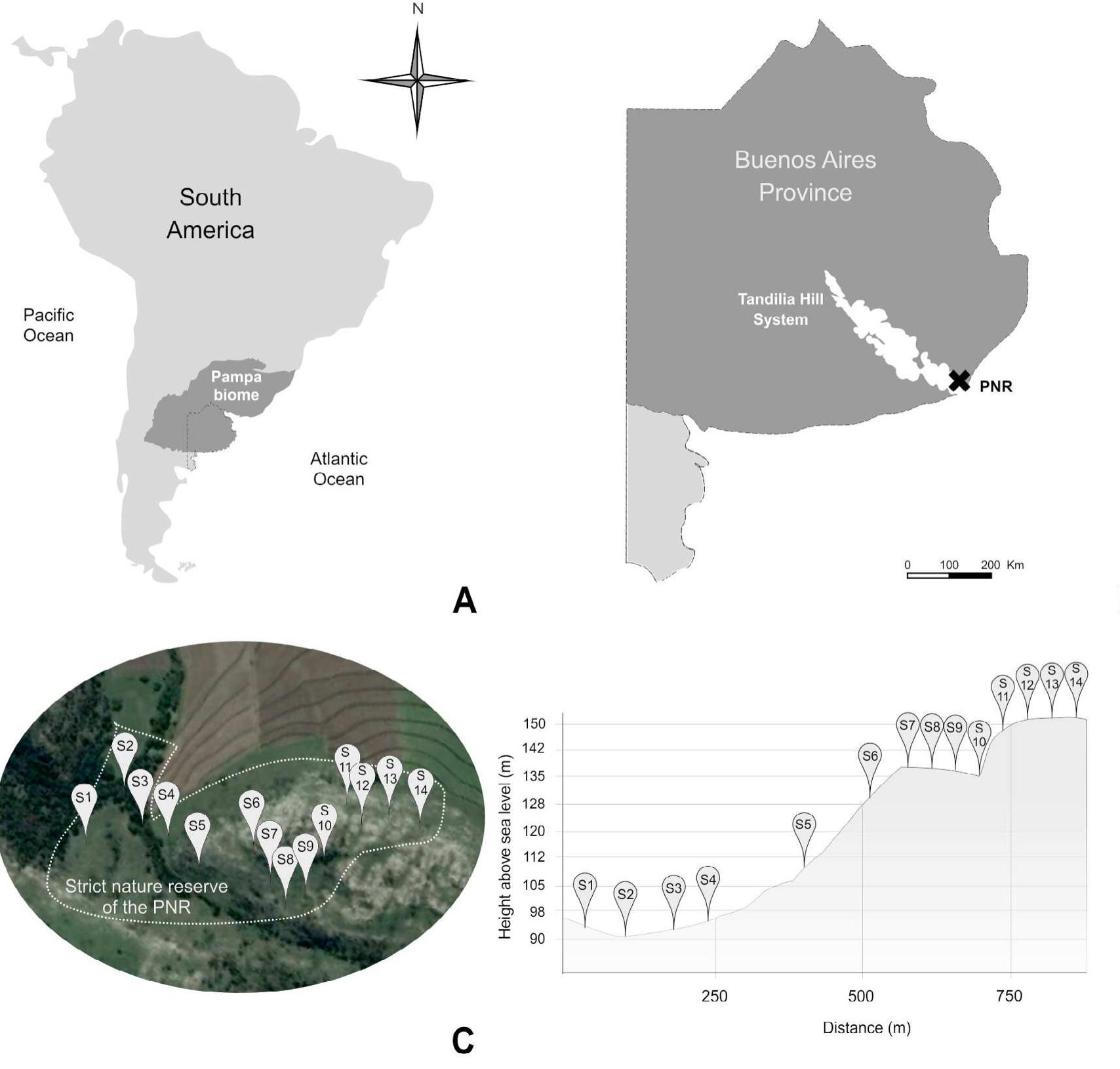 A: map of south america (light gray), with delimitation of