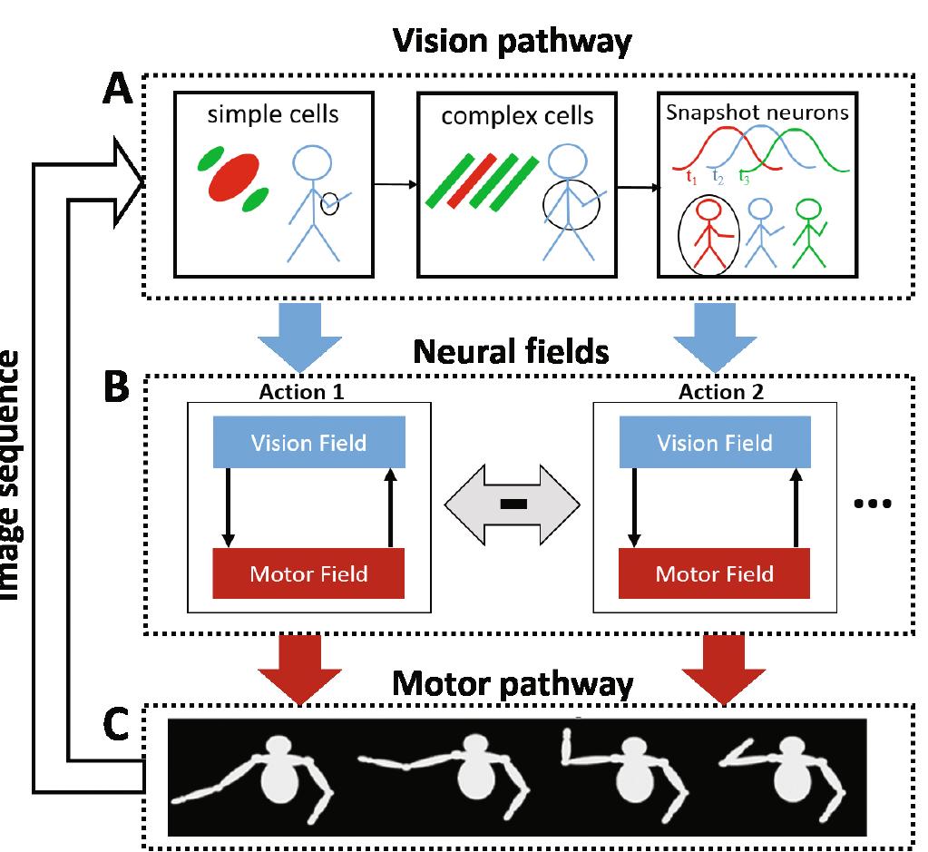 Overview of the model architecture. a the form pathway taken