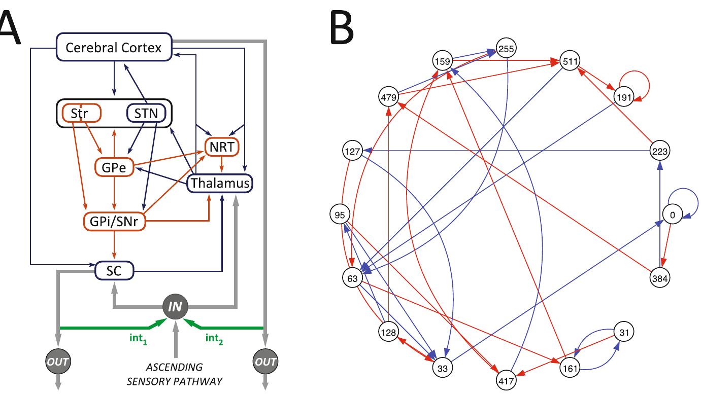 ‘ig. 1. a. simplified boolean model of the basal