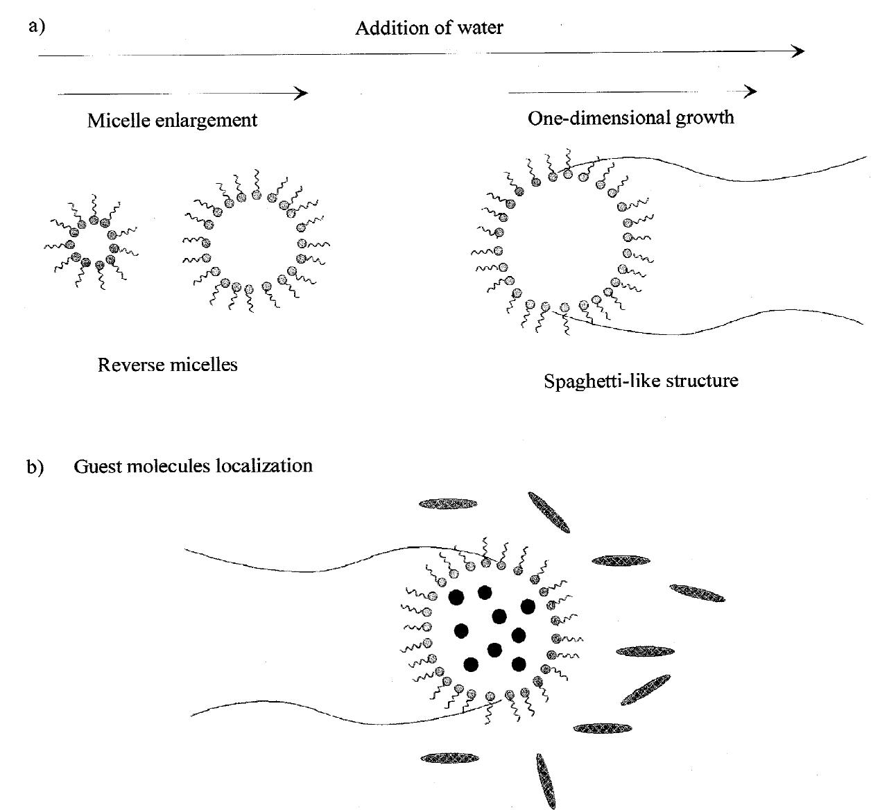 Microemulsion-based lecithin gels. (a) schematic