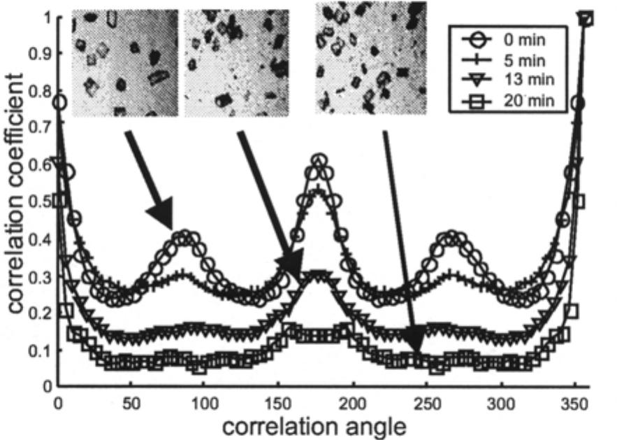 Particle Images And Time Average Cross Correlation Graph At