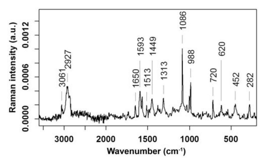 Ft-raman spectrum of the caparol red paint (pigment