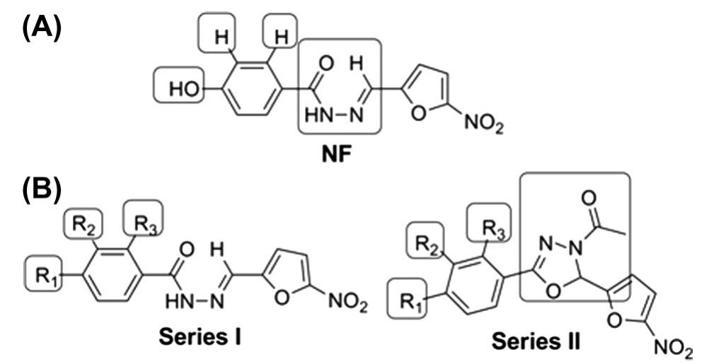 (a) chemical structure of nifuroxazide (nf), pointing out