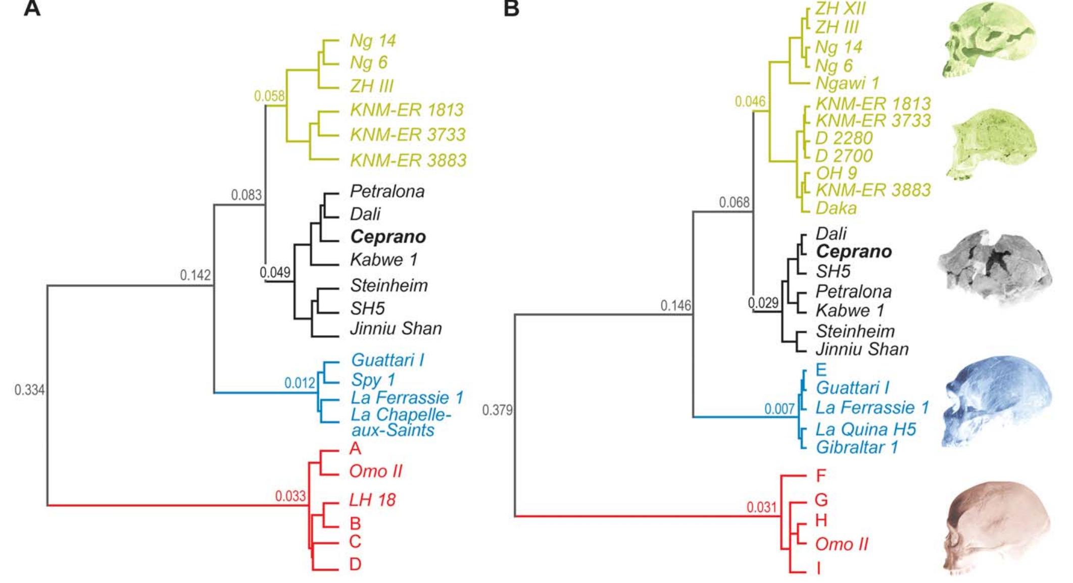 Hierarchical classification based on discrete features: