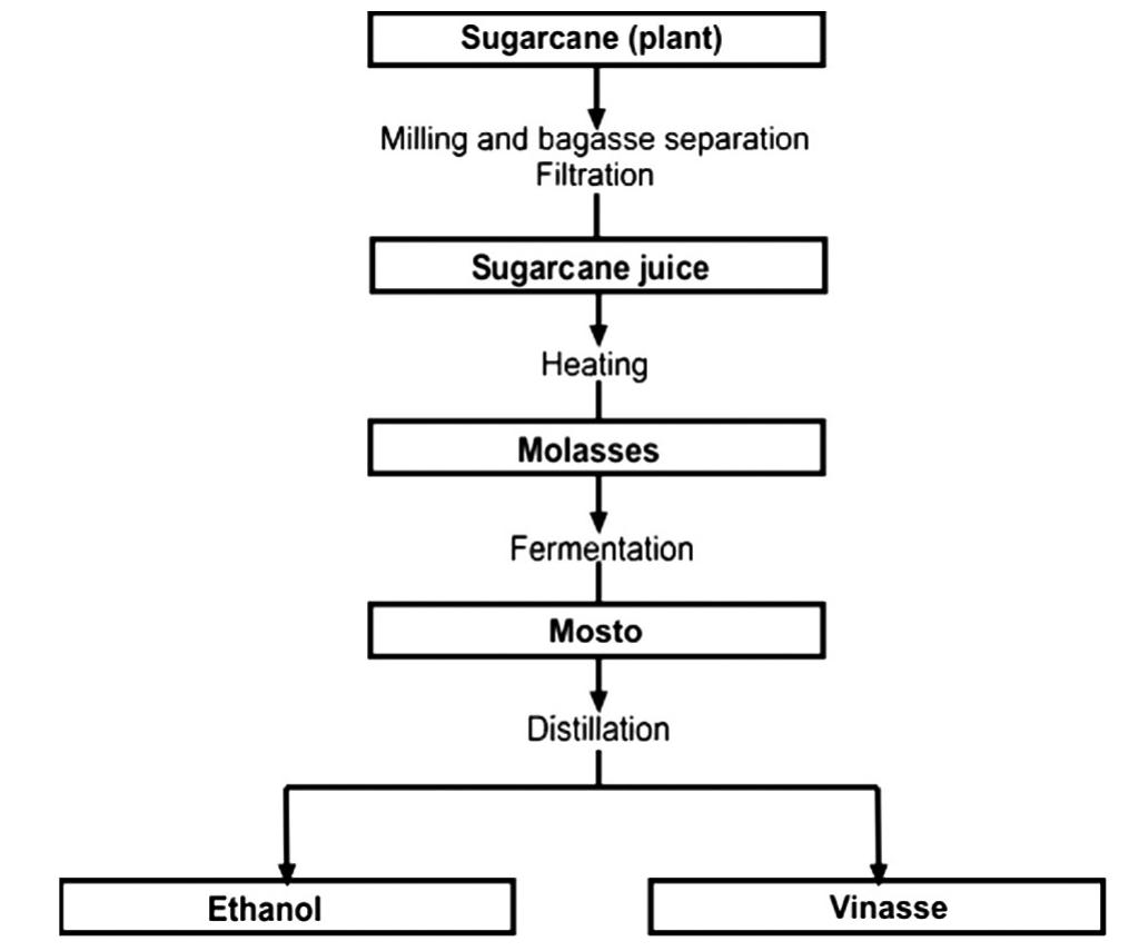 Flowchart of ethanol production process and underproduction