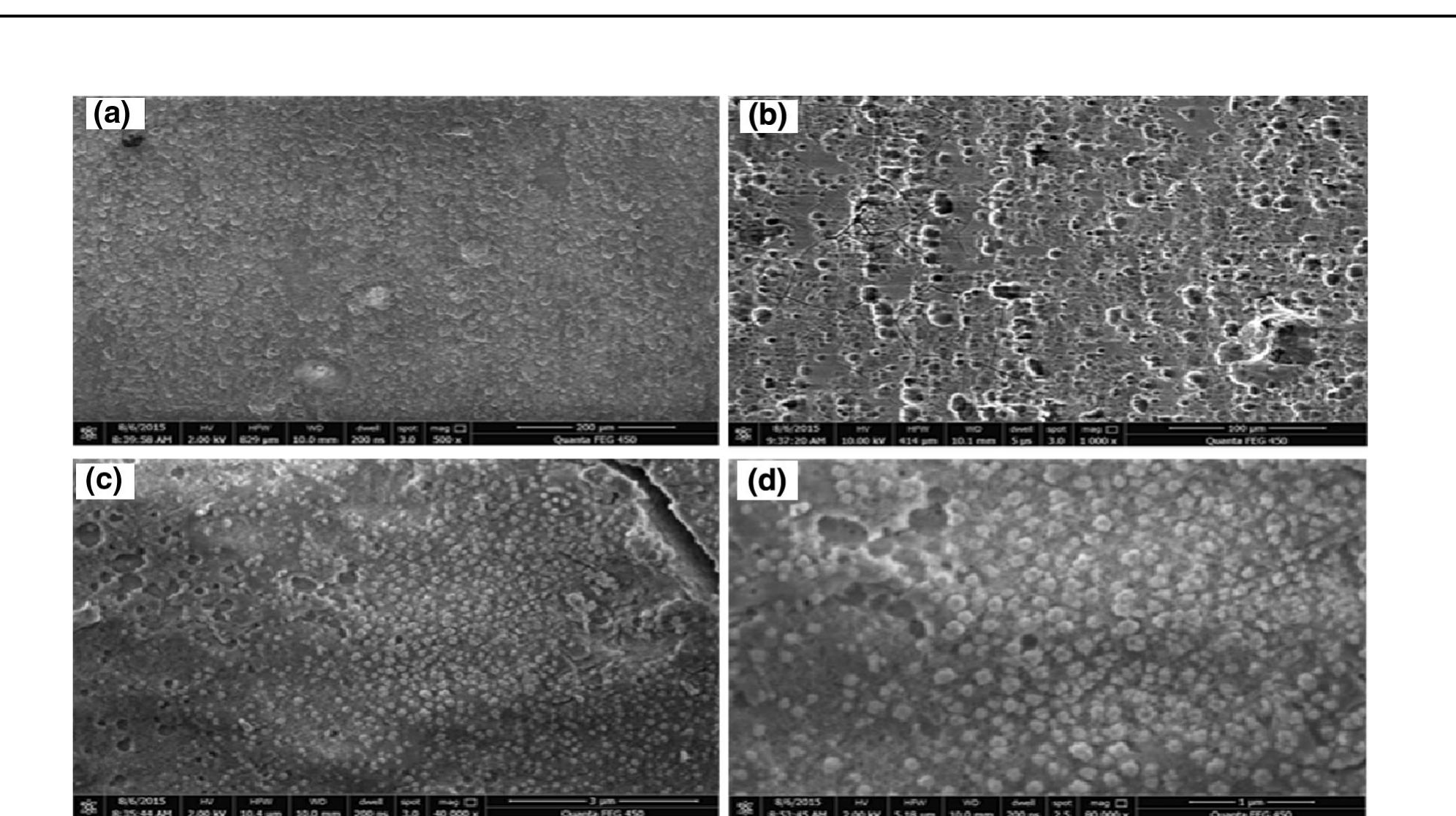 Figure 7 - from Fabrication and Characterization of TiO2