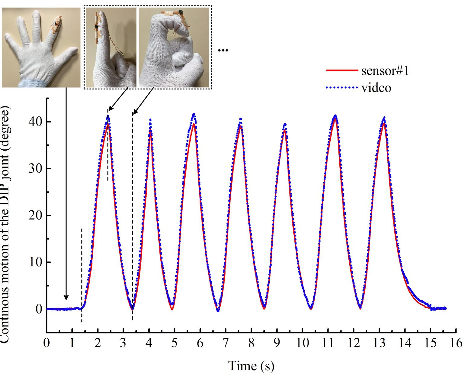2 the continuous flexion and extension of the dip joint of