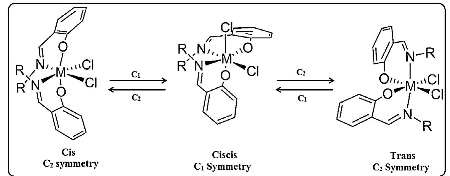 The three isomers of phenoxy-imine system with the cis