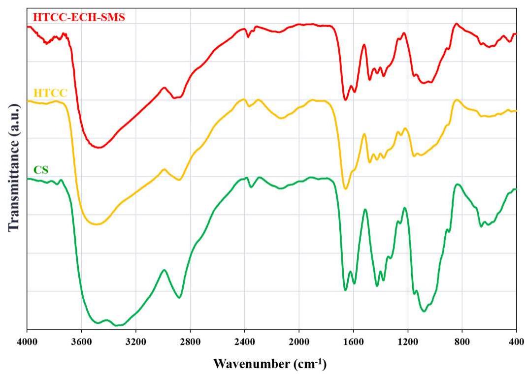Ft-ir spectra of cs, htcc and htcc-ech-sms samples.