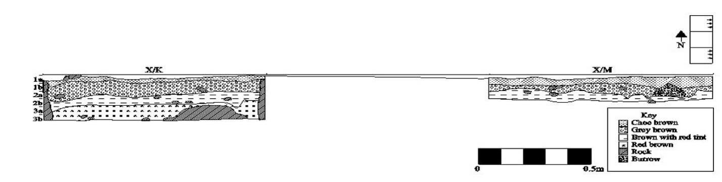 Stratigraphy of kg 80 squares x/k and x/m. fig. 4. (a)