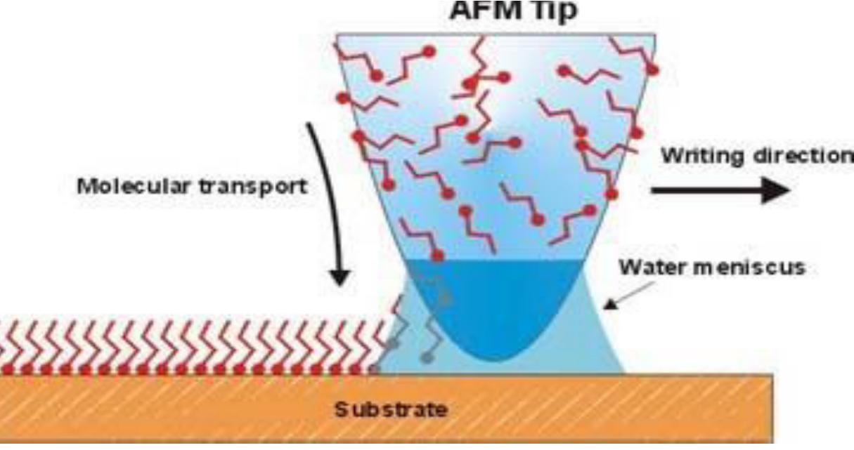 Schematic representation of dip pen lithography process.