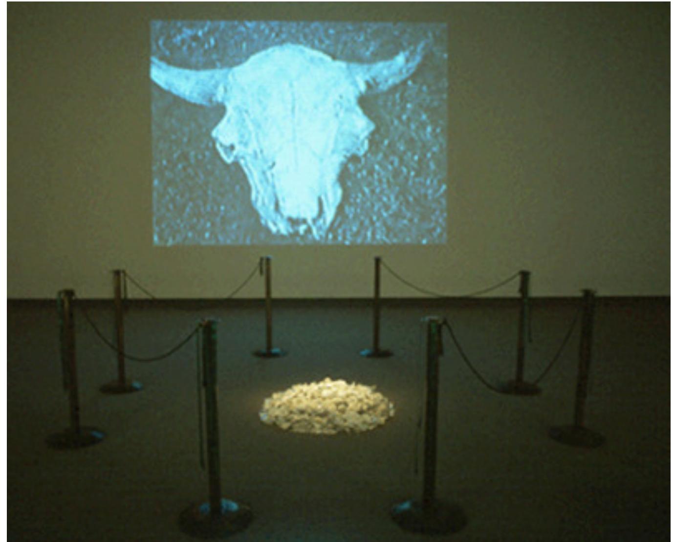 Figure 4 - Reclaiming Indigenous Identity through Animal