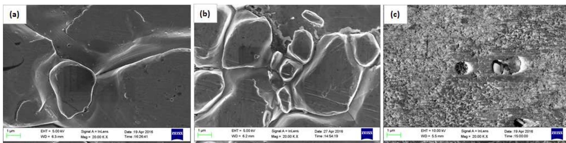 Sem images (20.0 kx) of etched surfaces in piranha