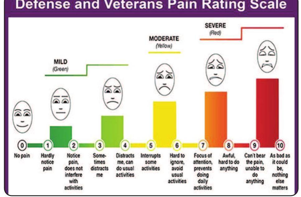 (2) diagram showing the vas score for assessment of pain