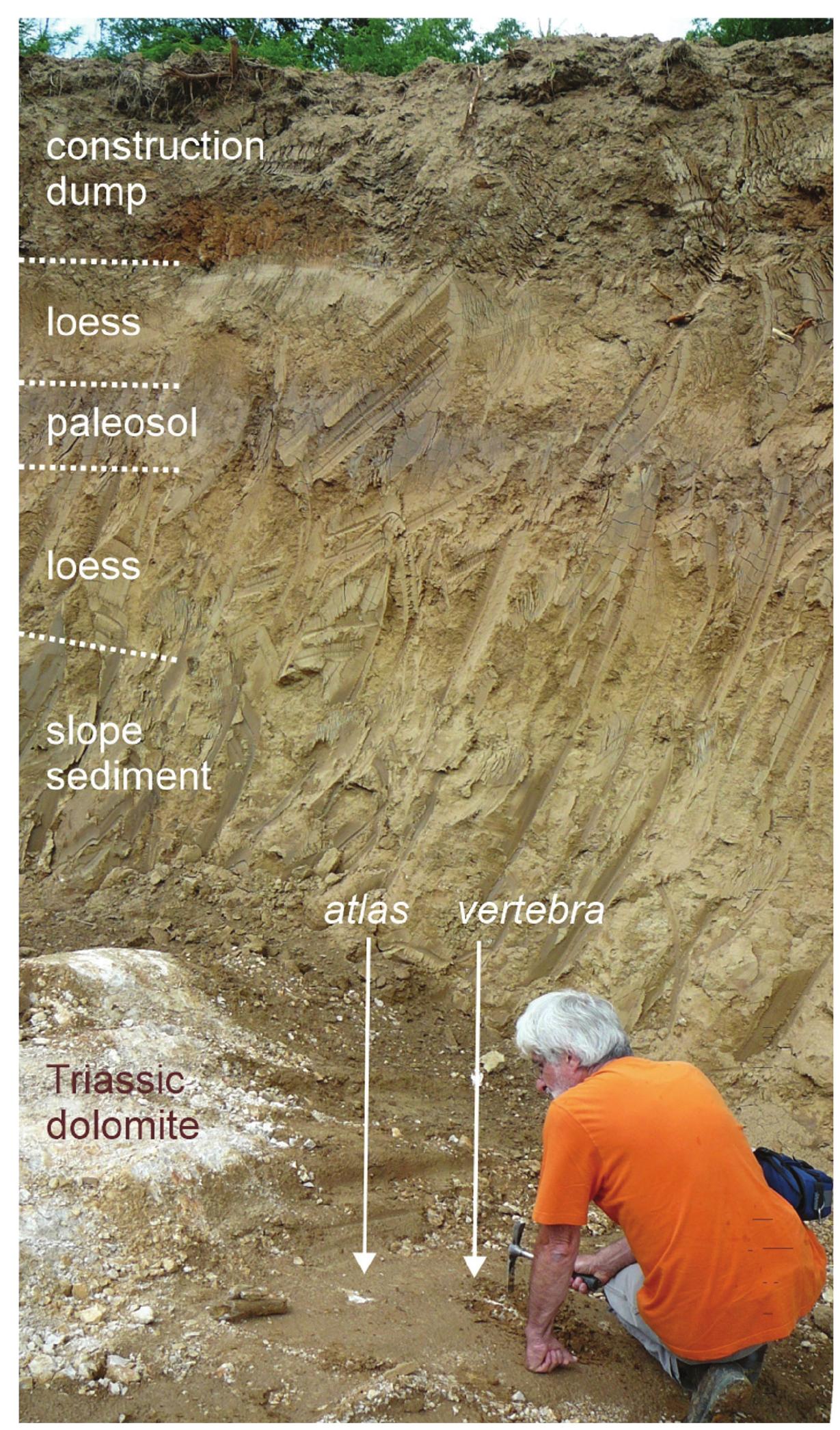 Sedimentary succession of the southern wall of the palkonya