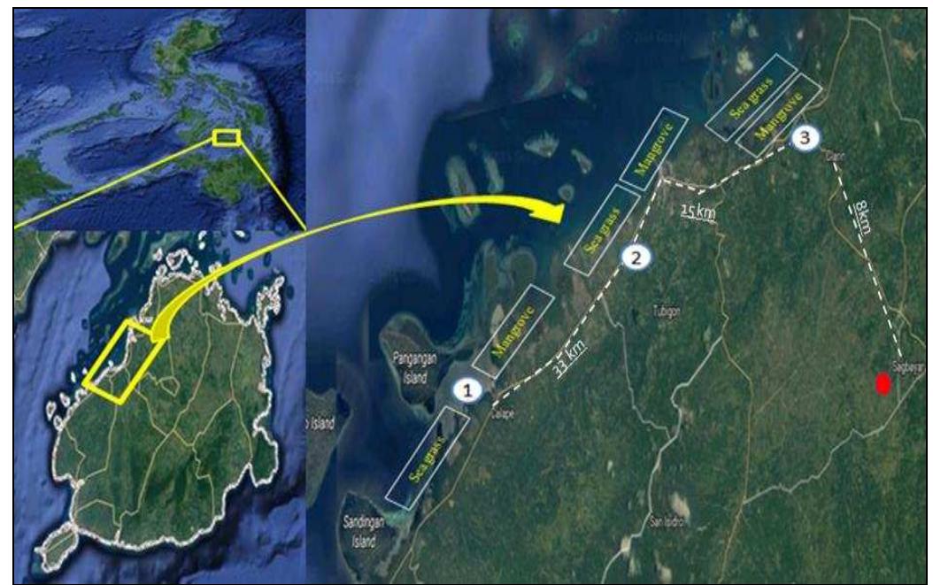 Map of the philippines, bohol and the three sampling sites