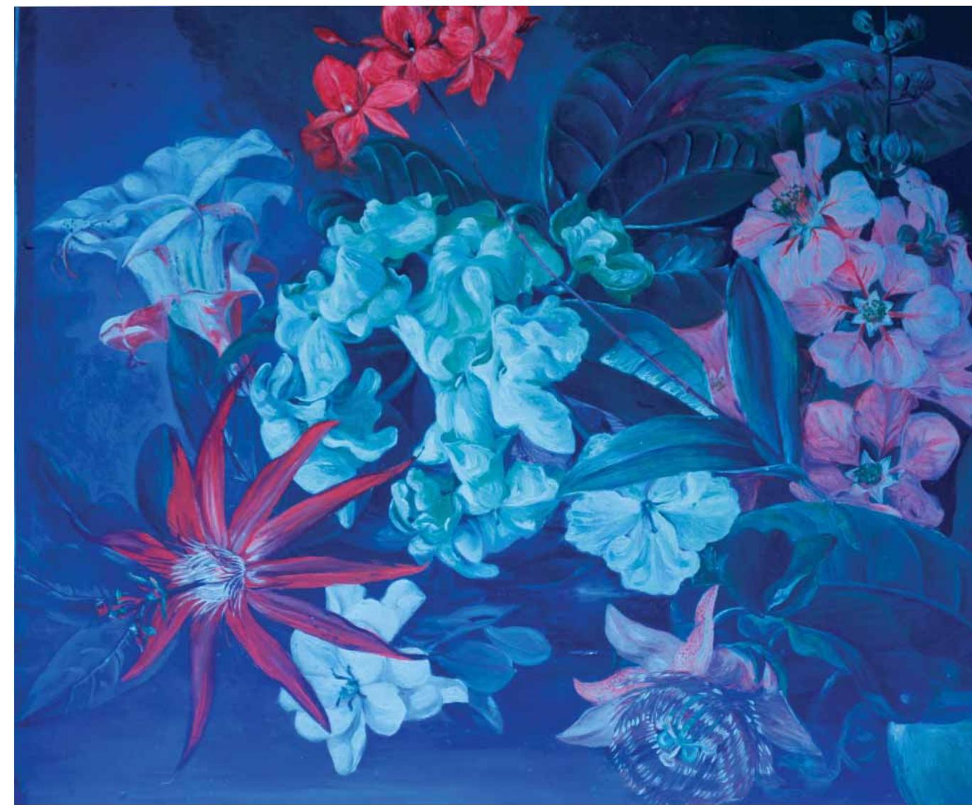 Under-drawings observed in painting 673, leaf and