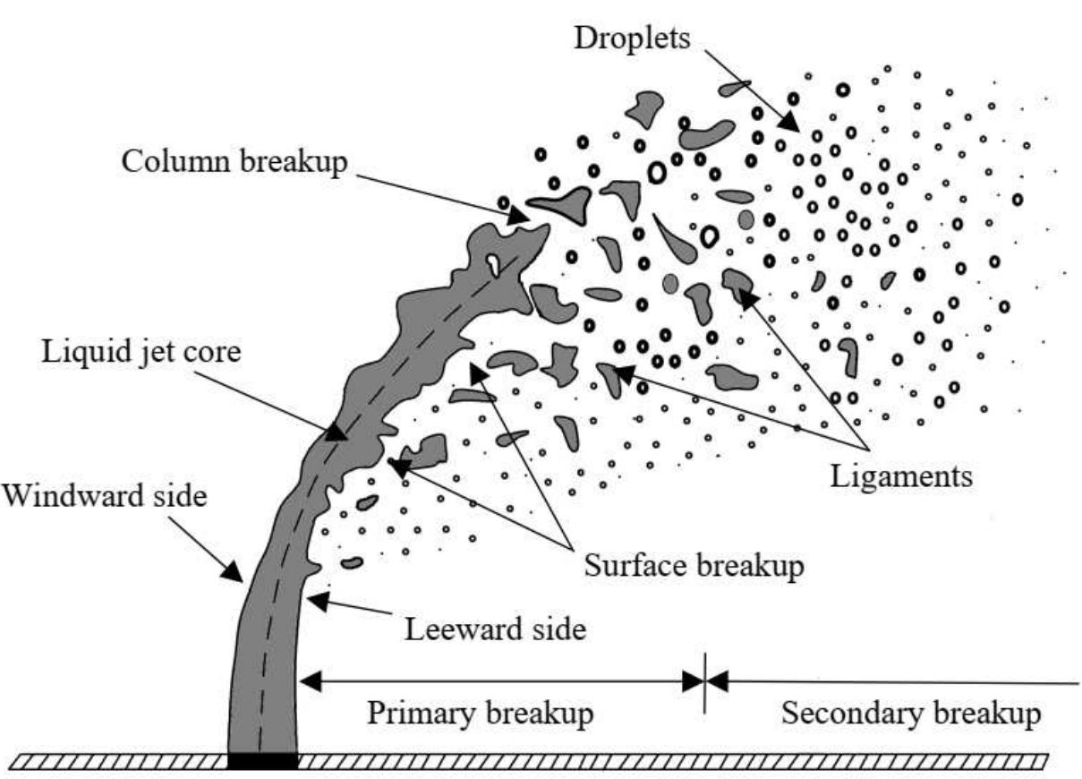 Eulerian formulation, the lpt formulation, and the coupling