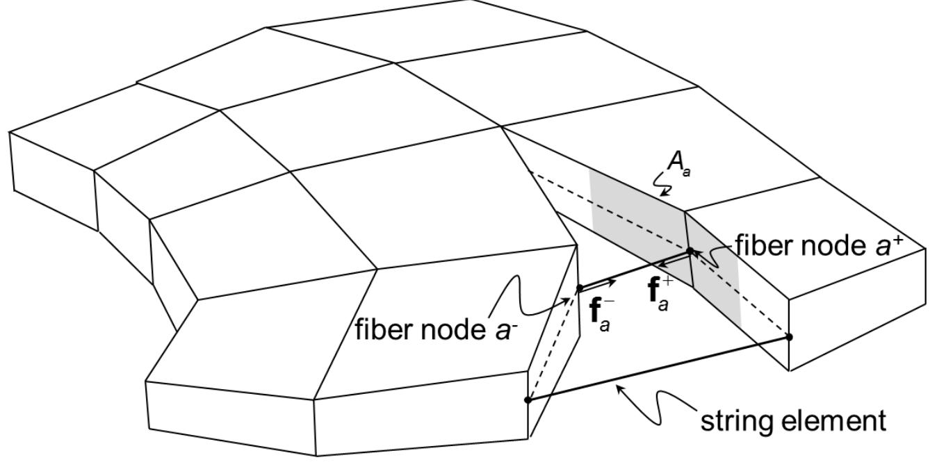 Define “corner nodes”. figure 3: directional cohesive