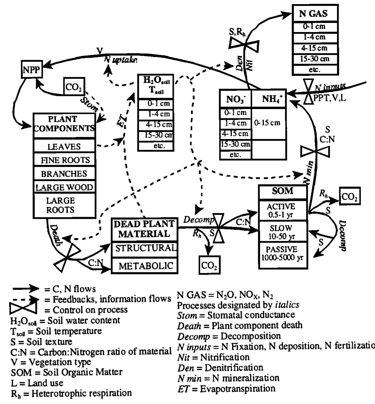 Flow diagram for the daycent ecosystem model.