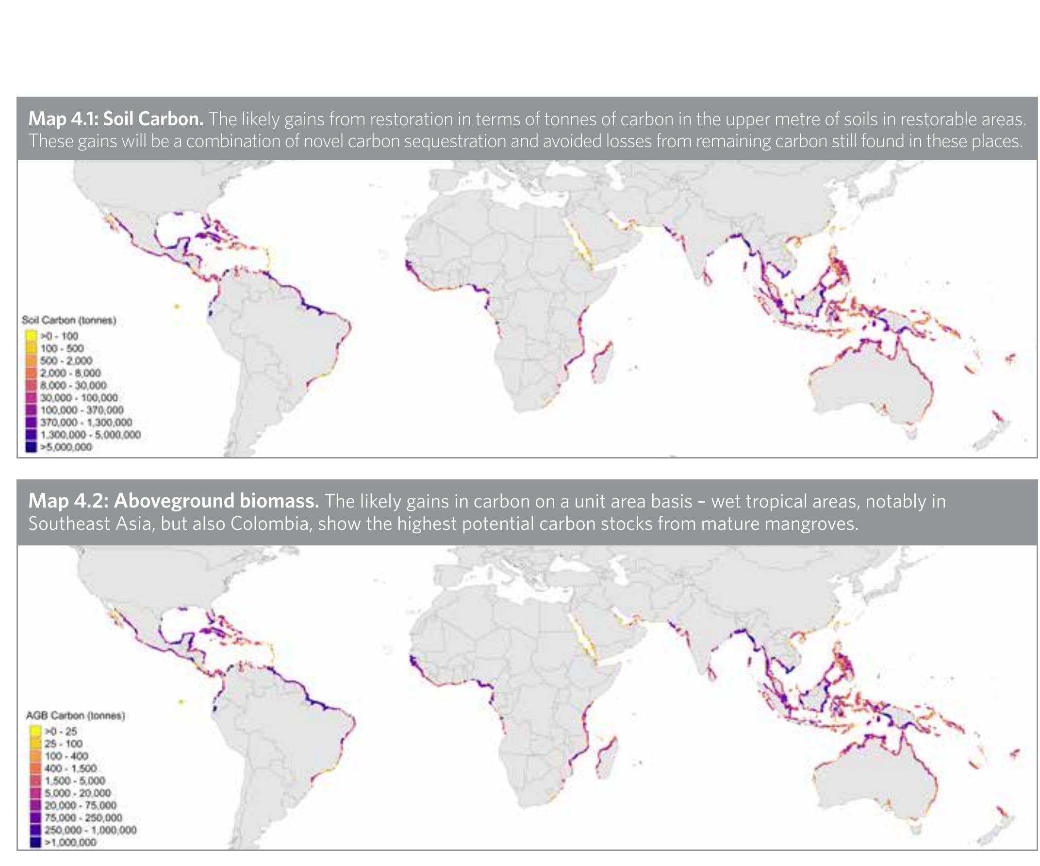 Figure 16 - Mangrove Restoration Potential: A global map