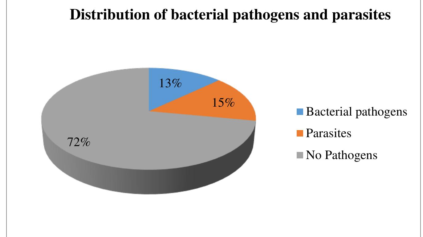 Of the 60 stool specimens processed, pathogens were isolated