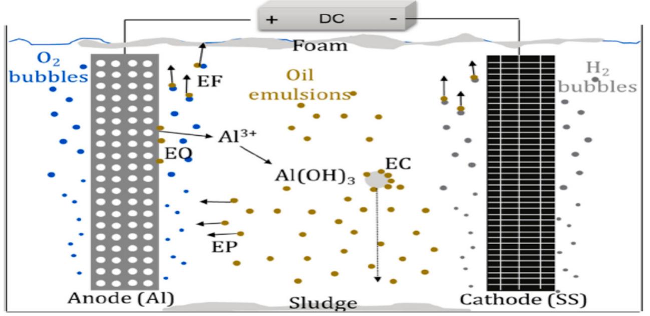 Electrochemical cells showing the different electrochemical