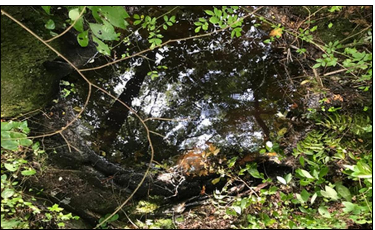 A circular water-filled pit was identified just south of