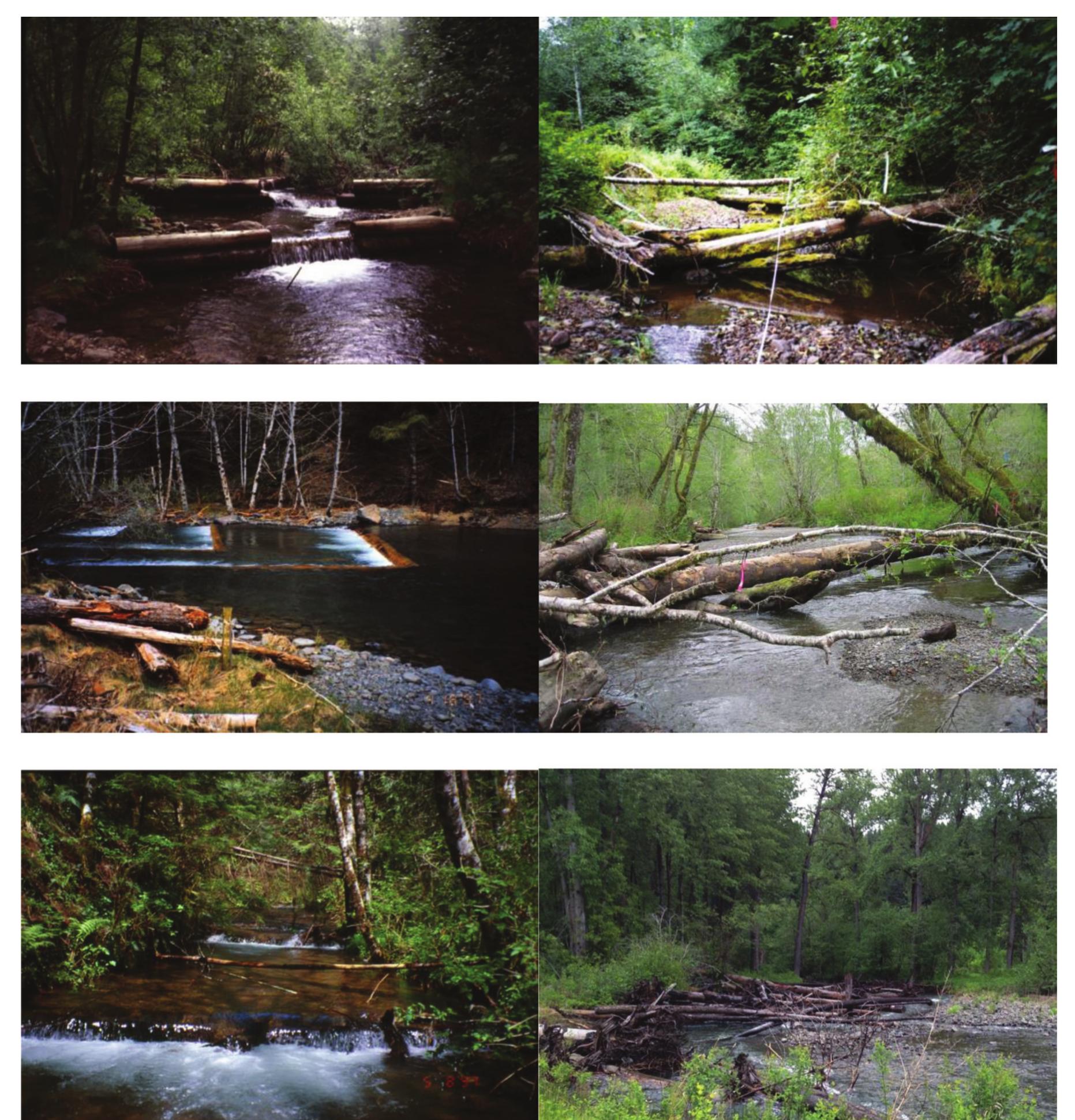 Examples of common types of wood placement used in north