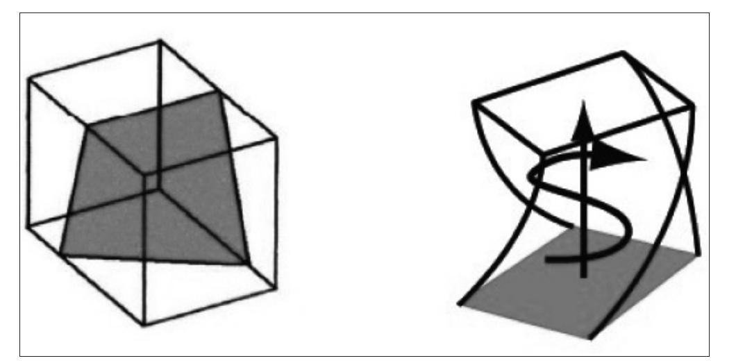 A tordo (on the left) and a twister (on the right) (vollers,