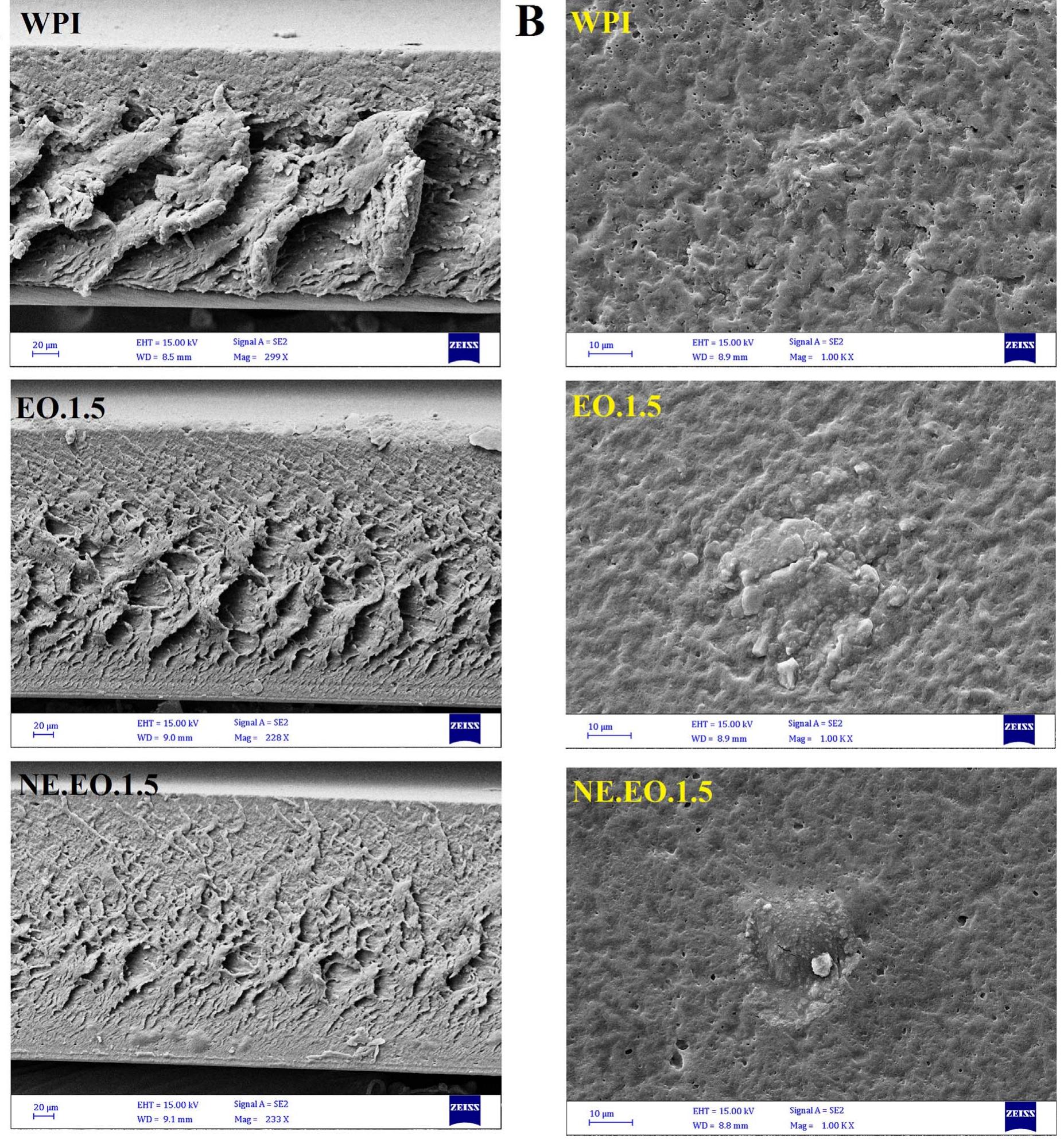 Figure 3 - from Development and characterization of whey
