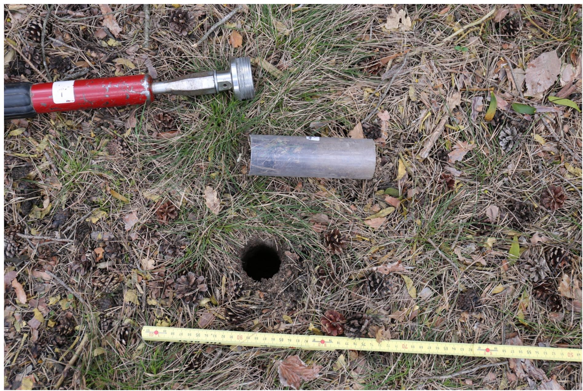 S 5.3: sampling of soil fauna. a sample cylinder of 5 cm in