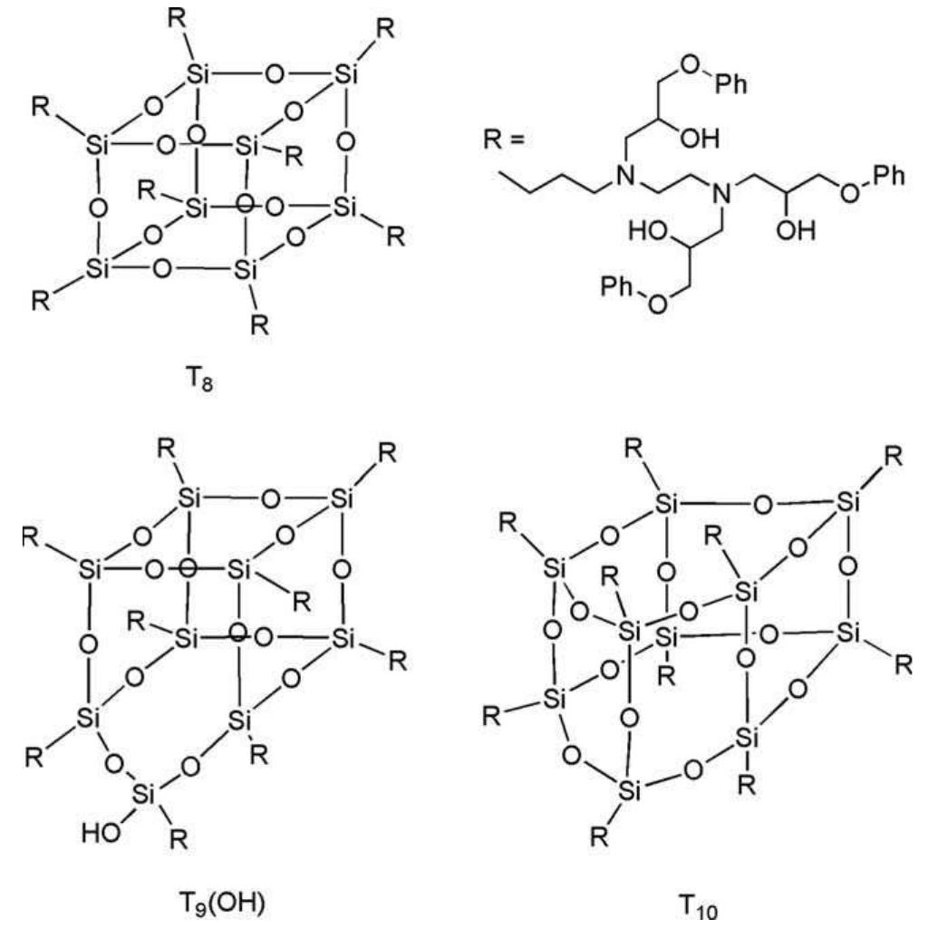 Chart 1 molecular structure of the poss used in this work.