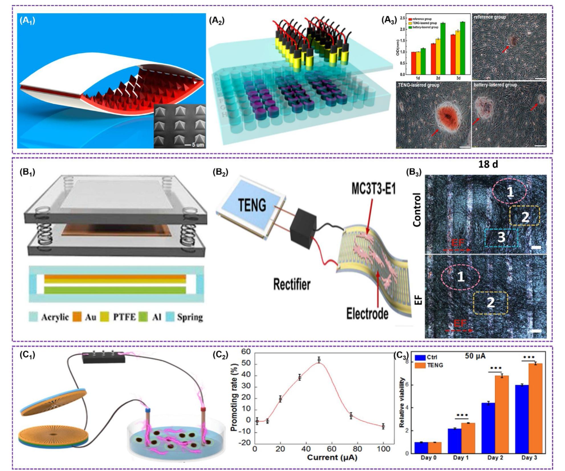 A; ) schematic illustration of the teng with pdms pyramid