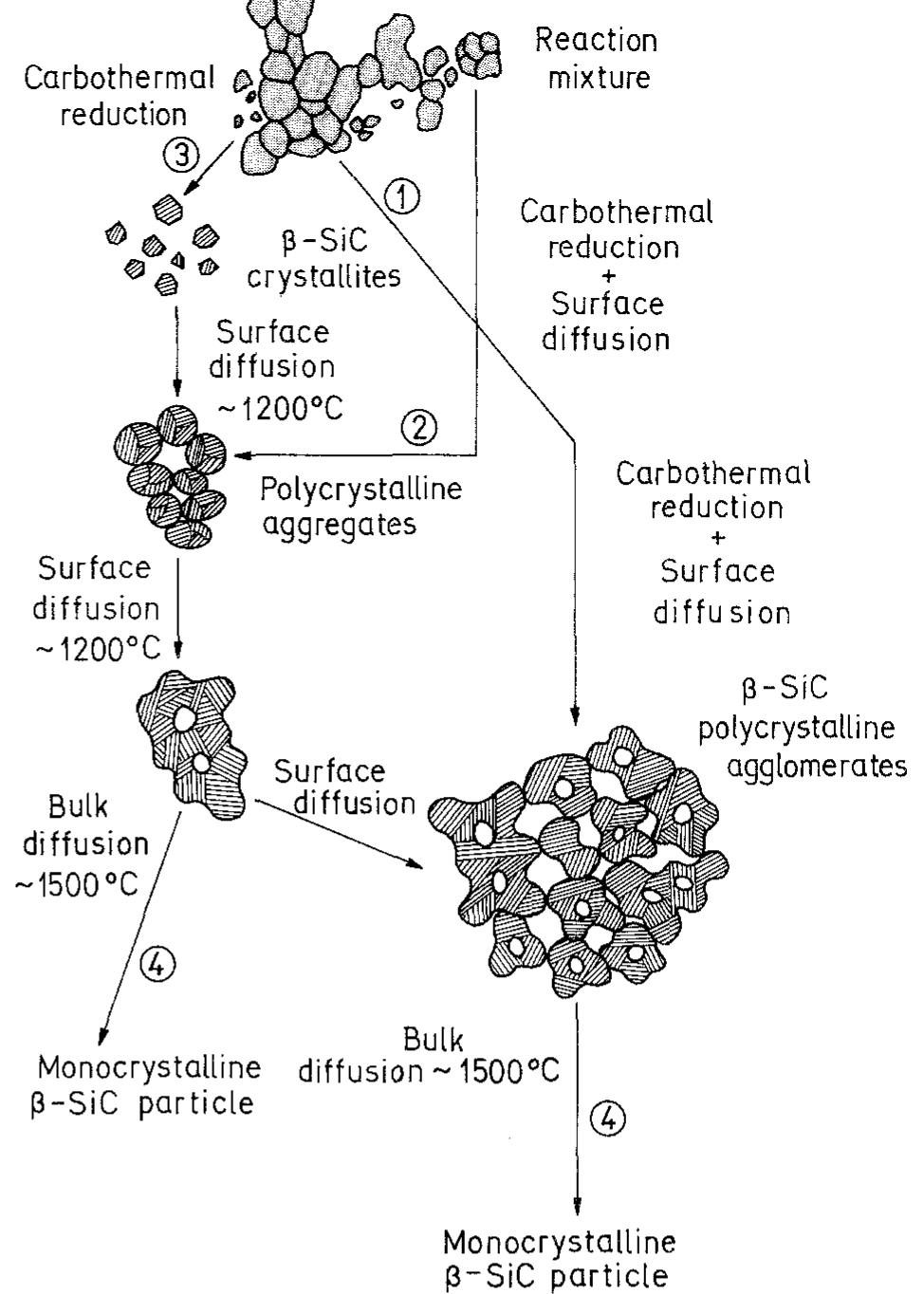 Schematic Representation Of Growth And Agglomeration Of