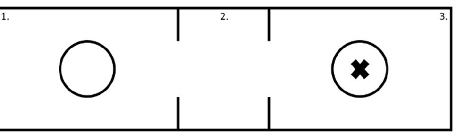 Schematic illustration of the three-chamber social