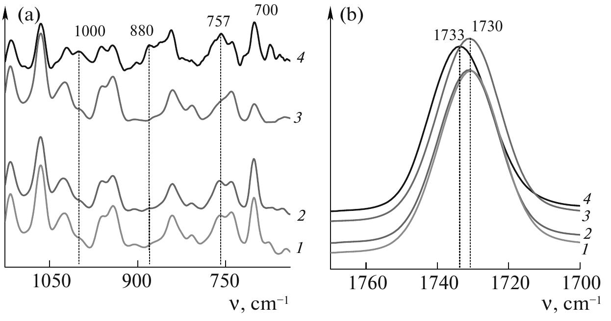 Fragments of atr-ftir spectra of polymer films rc-10 (/, 2)