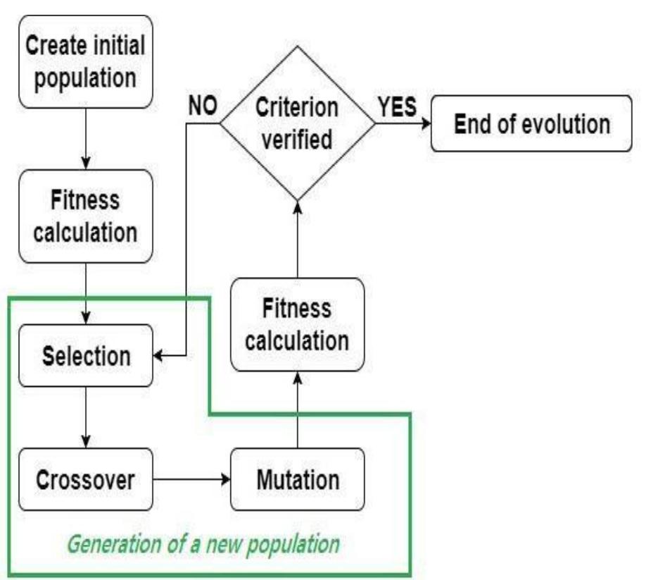 Functional block diagram of genetic algorithm