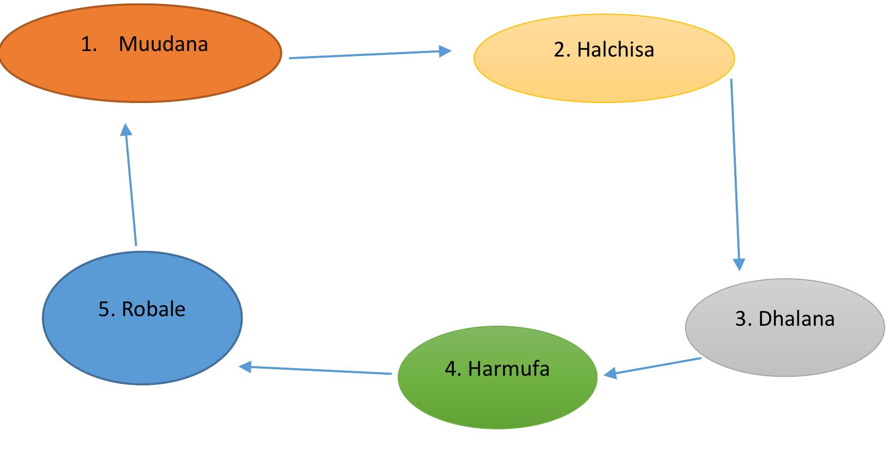 (PDF) The Social and Political Functions of the Oromo Gada System in ...
